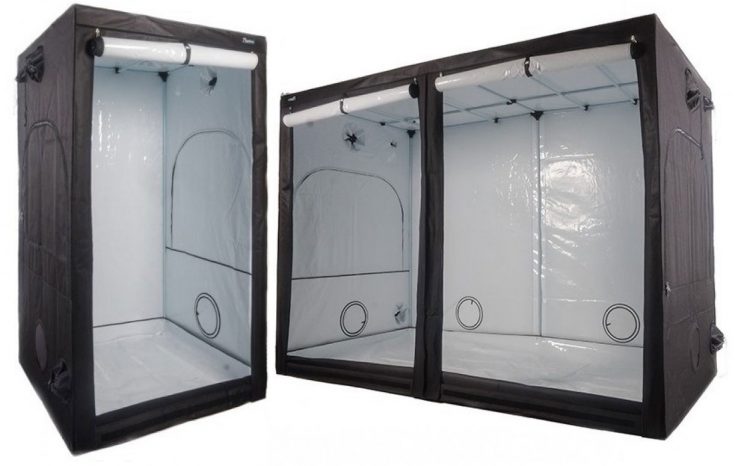 Binnen wiet kweken voor beginners - Mediwietsite