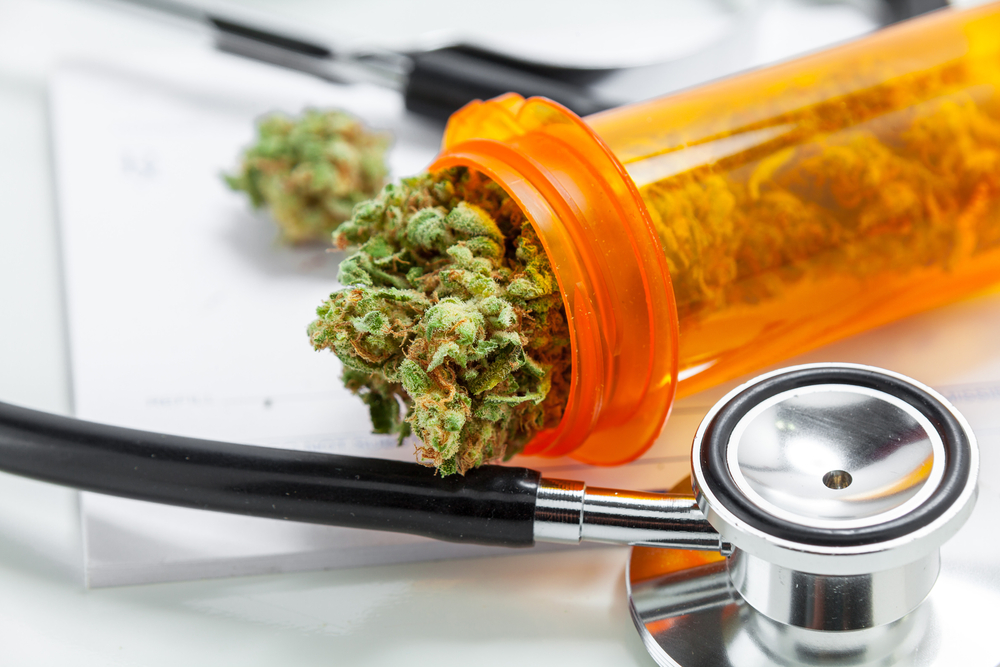 Studie - Cannabis is wél medicinaal - Mediwietsite Studie - Cannabis is wél medicinaal - Mediwietsite