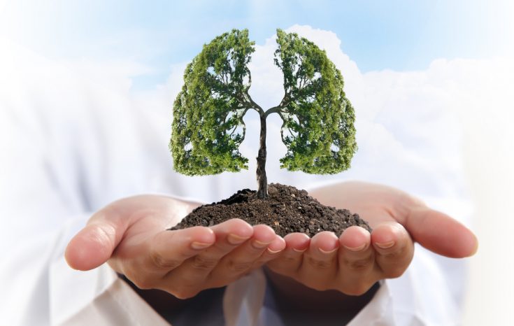 Mediwietsite / Mediwietforum - Nieuws en achtergronden over medicinale ...