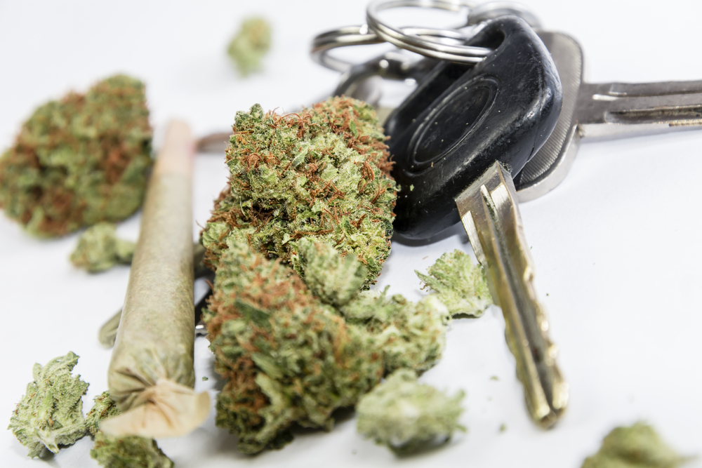 Studie: ‘Cannabis-gebruiker rijdt veiliger dan nuchtere automobilist ... Studie: ‘Cannabis-gebruiker rijdt veiliger dan nuchtere automobilist ...