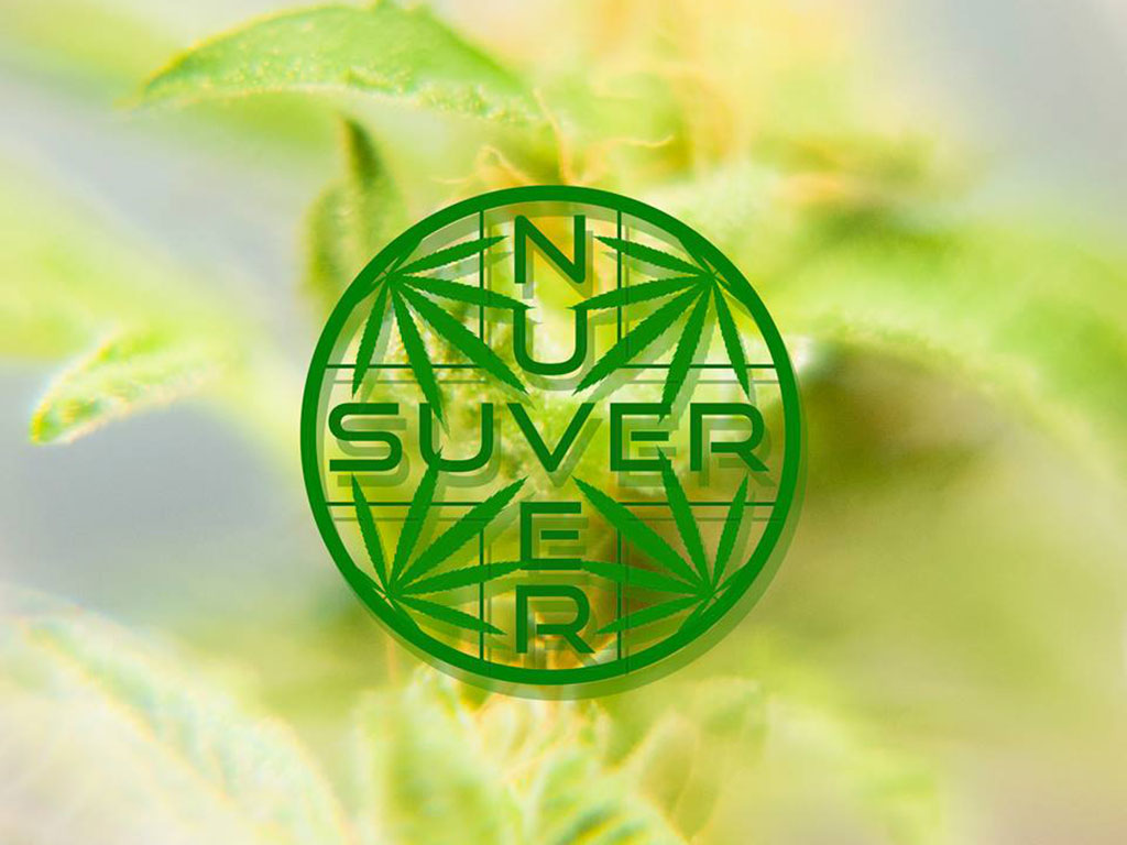 Suver Nuver gooit de zaken vanaf 2018 over een andere boeg - Mediwietsite