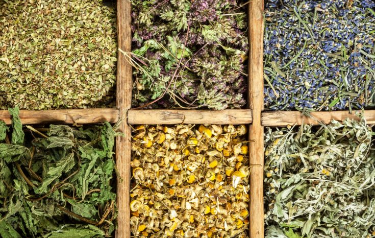 Mediwietsite / Mediwietforum - Nieuws en achtergronden over medicinale ...