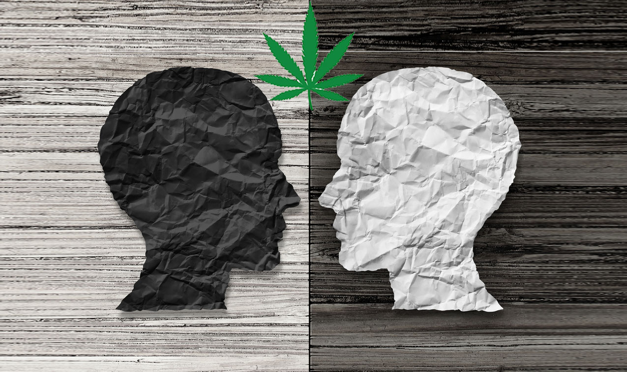 Dit doet medicinale cannabis bij een bipolaire stoornis - Mediwietsite