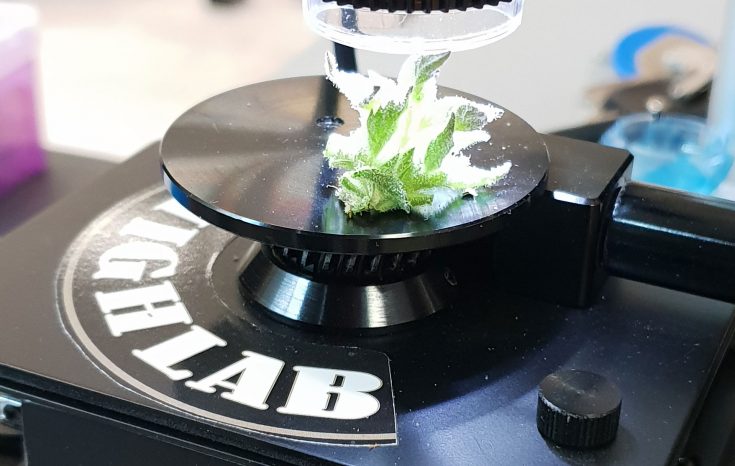 Suver Nuver gooit de zaken vanaf 2018 over een andere boeg - Mediwietsite