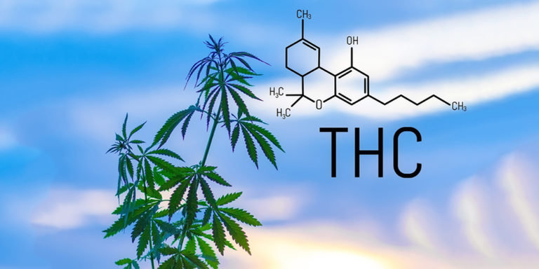 Wat zijn cannabinoïden eigenlijk? - Mediwietsite