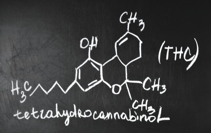 THCV (tetrahydrocannabivarin): de 'afslank-cannabinoïde' - Mediwietsite