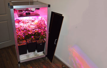 Kweken - Mediwietsite