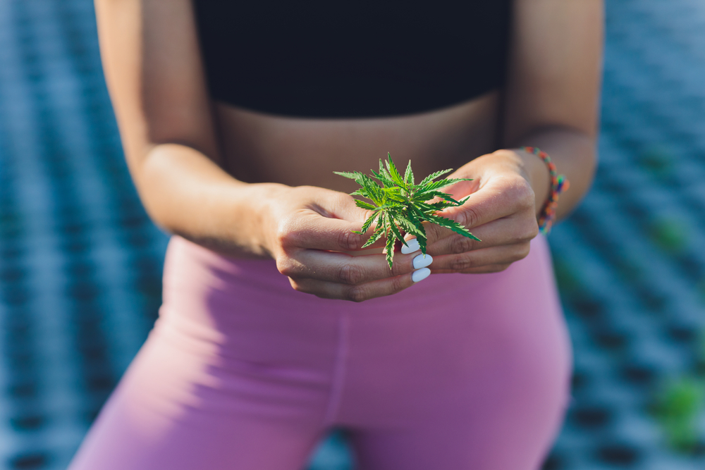 Studie bevestigt: met wiet blijf je slanker - Mediwietsite