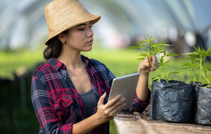 Kweken - Mediwietsite