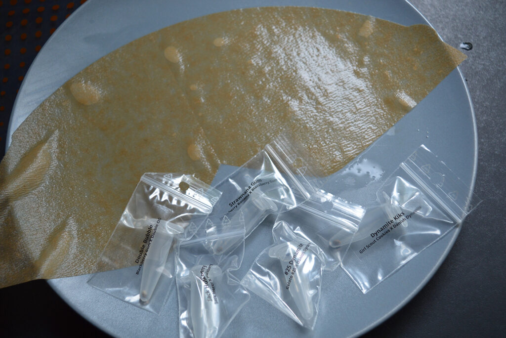 Waarom wietzaadjes soms niet uitkomen, en hoe ontkiemen wél moet ...