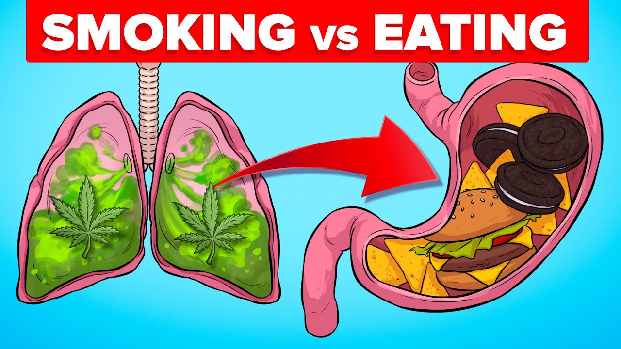 Video > Alles over de verschillen tussen cannabis roken versus eten ...