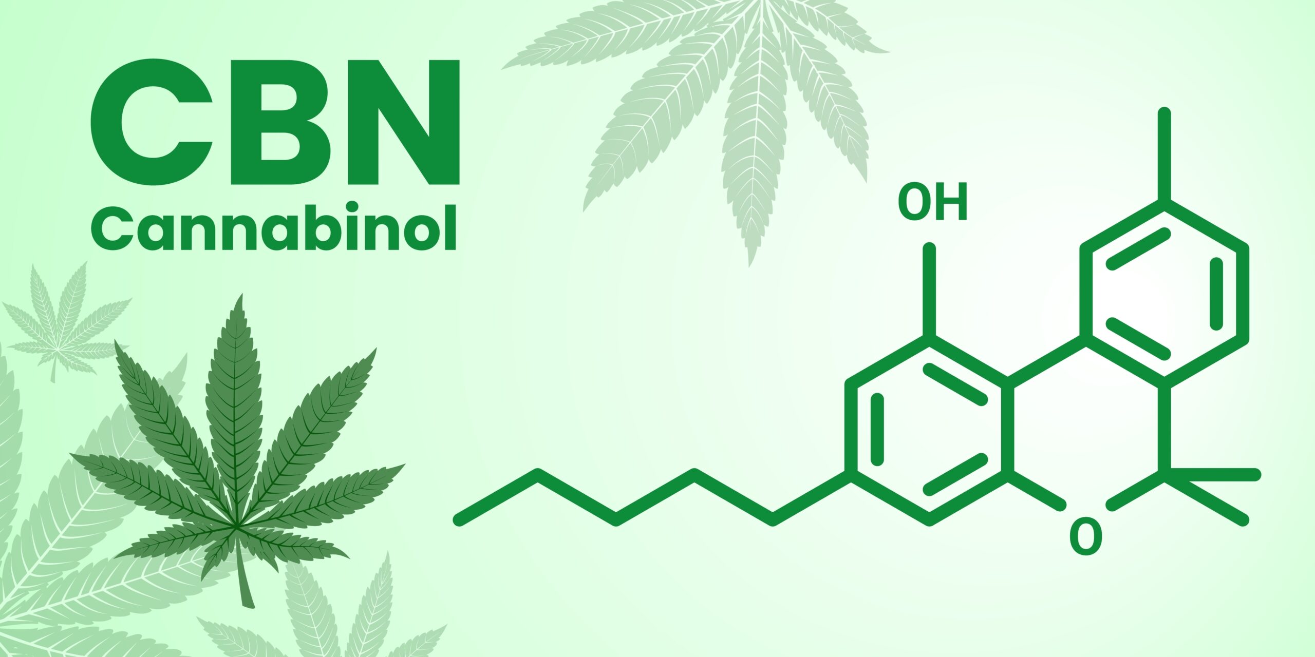 Studie toont aan dat CBN (cannabinol) slaap verbetert, inclusief REM ...